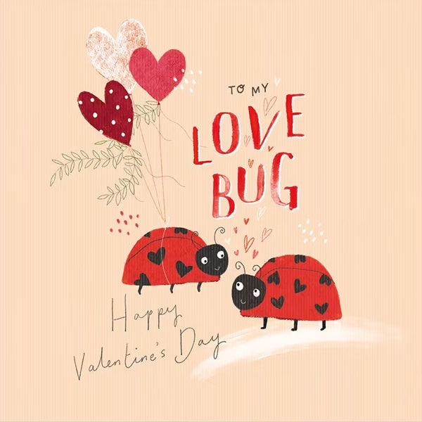 To My Love Bug Valentine's Day Card - Paper Tiger