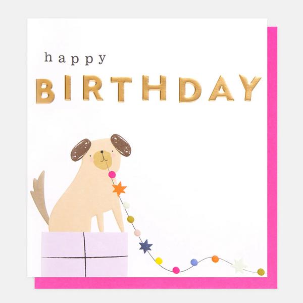 Happy Birthday Dog & Presents Card - Paper Tiger