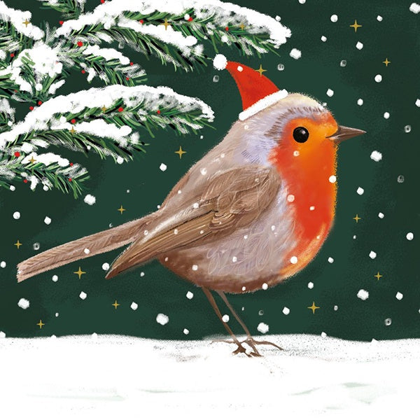 Festive Robin Charity Card Pack - Paper Tiger