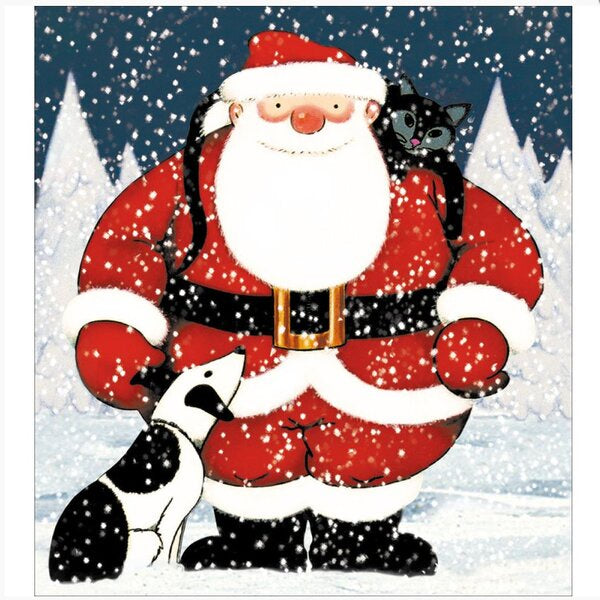 Father Christmas Xmas Card Pack - Paper Tiger