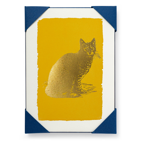 Gold Cat Pack Of 5 Cards - Paper Tiger