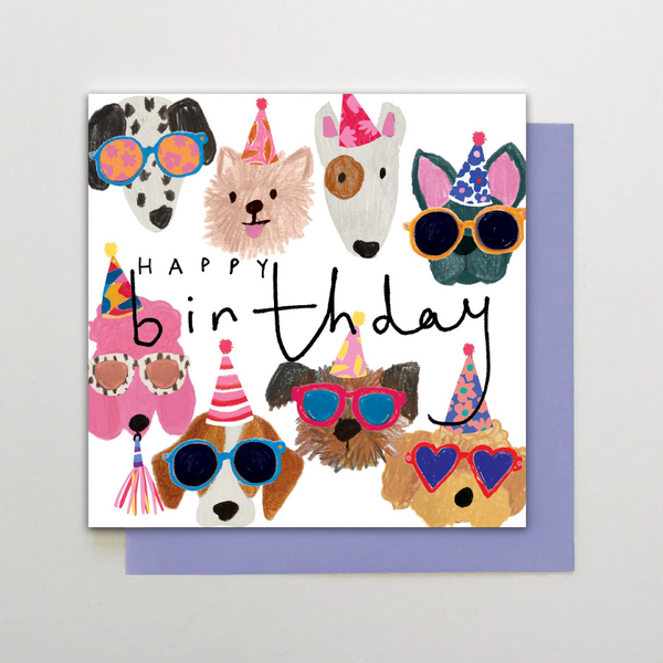 Happy Birthday Dogs Card - Paper Tiger