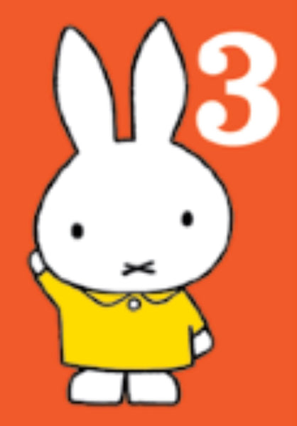 Miffy Number Three Birthday Card - Paper Tiger
