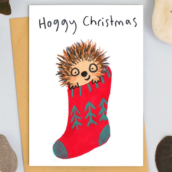 Hoggy Christmas Hedgehog in Stocking Card - Paper Tiger