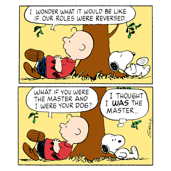 Snoopy and Charlie Brown Role Reversal Card - Paper Tiger