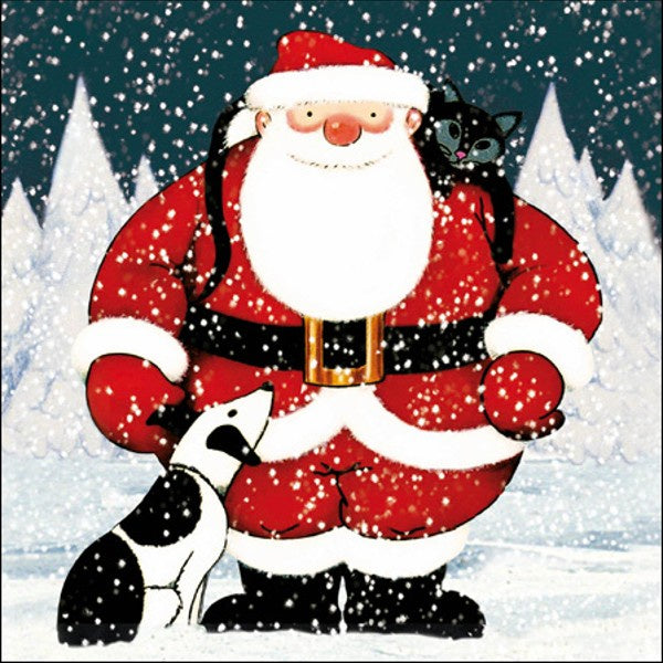 Father Christmas Christmas Card - Paper Tiger