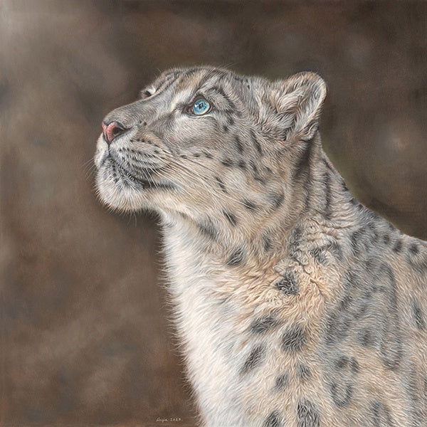Save The Tiger Mountain Spirit Snow Leopard Christmas Card by Paper Ti ...