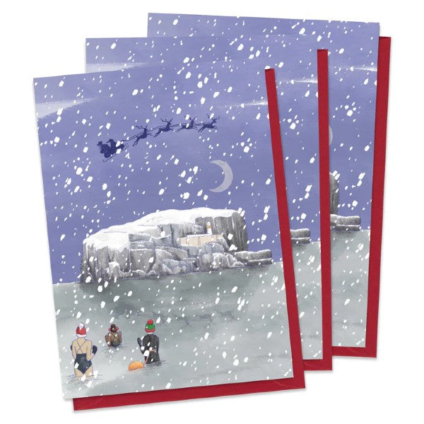 Wild Swimmers and Bass Rock Christmas Card Pack - Paper Tiger