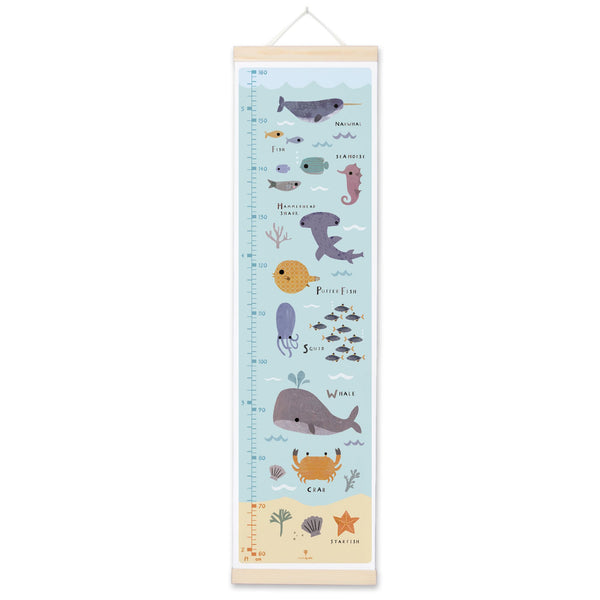 Ocean Height Chart | Paper Tiger