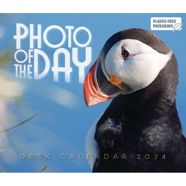 Photo Of the Day Desk Calendar 2024 - Paper Tiger