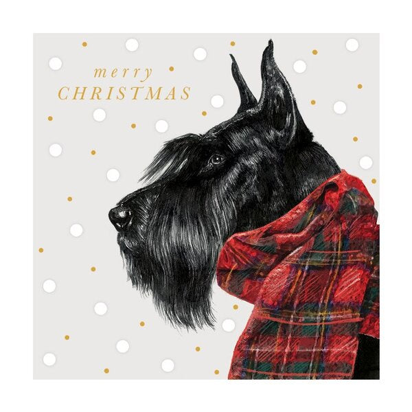 Merry Christmas Scottie Christmas Card Pack - Paper Tiger