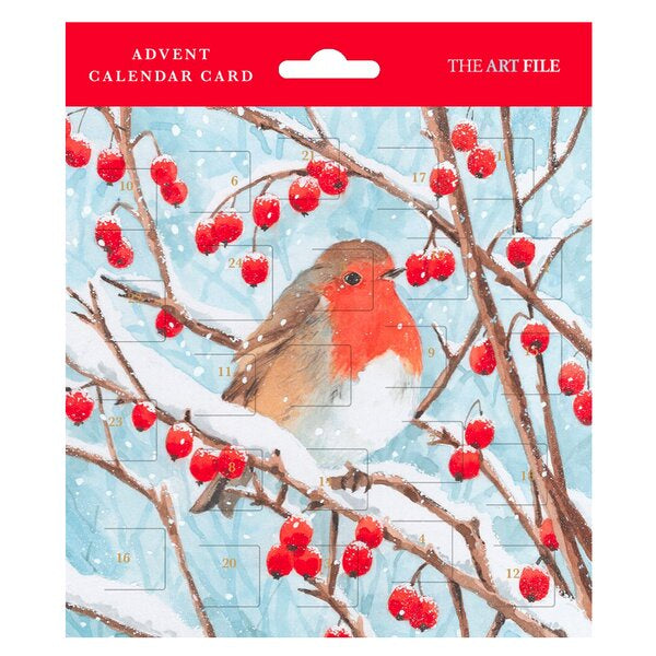 Tim Mason Robin Advent Card - Paper Tiger