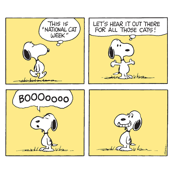 National Cat Week Snoopy Card - Paper Tiger