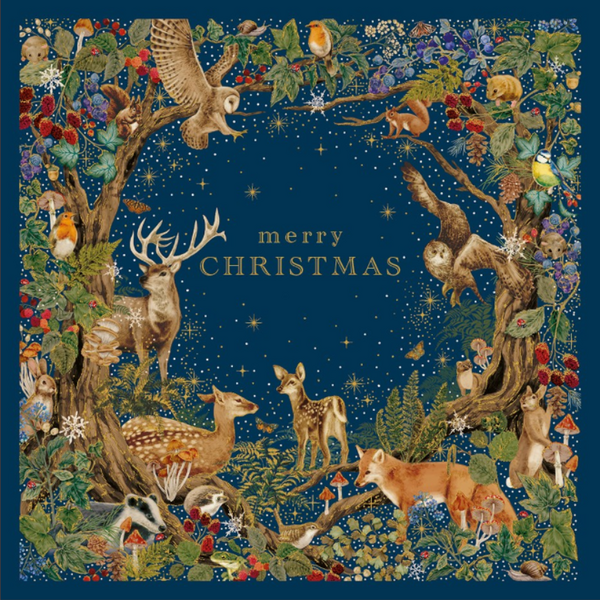 Into The Forest Christmas Card Box - Paper Tiger